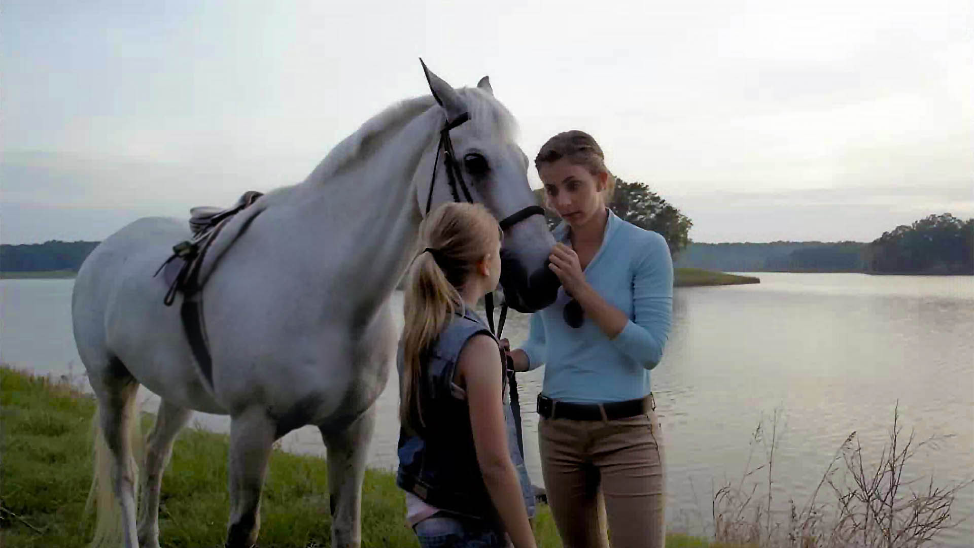 Living Scriptures Streaming