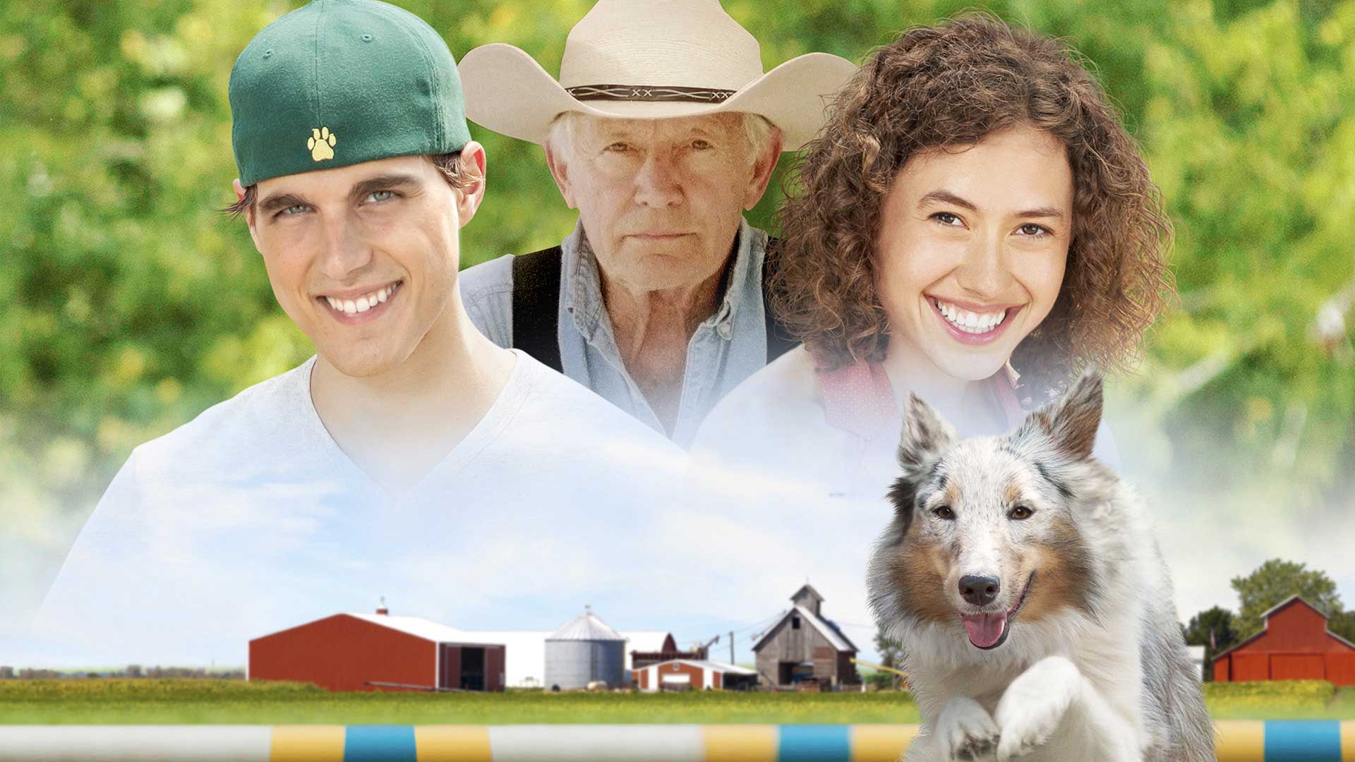 Living Scriptures Streaming