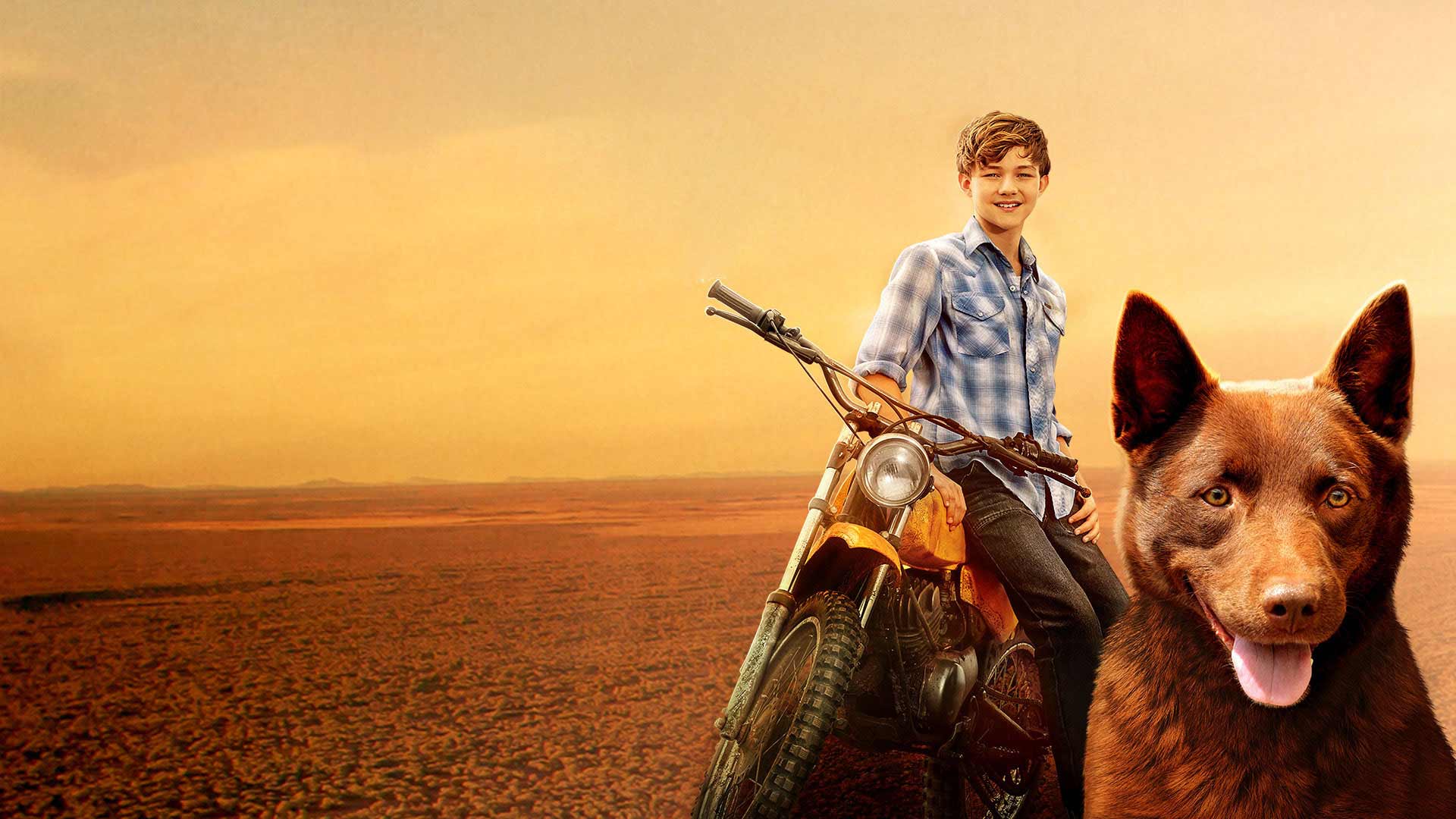 Living Scriptures Streaming